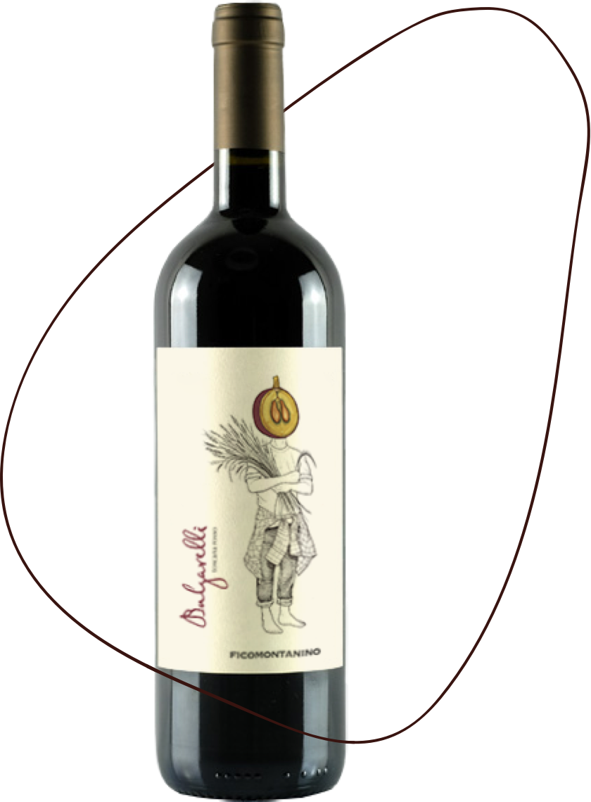 Bulgarelli | Agricola Ficomontanino Srl